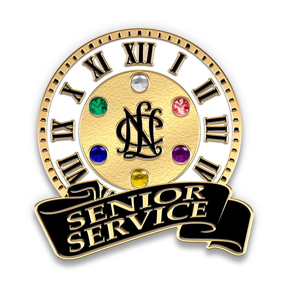 220 - Senior Service Award | NCL Moon Valley Chapter Pins